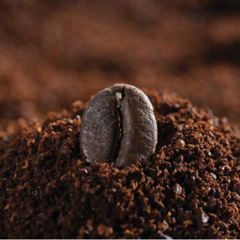 About Us - Hoebee Coffee